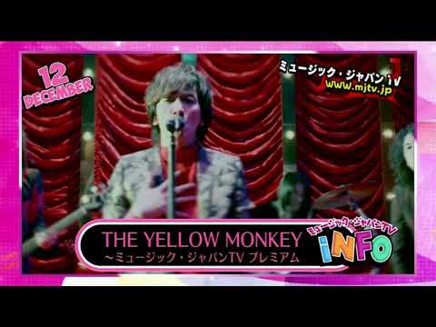 Music Japan TV [Clip 01]
