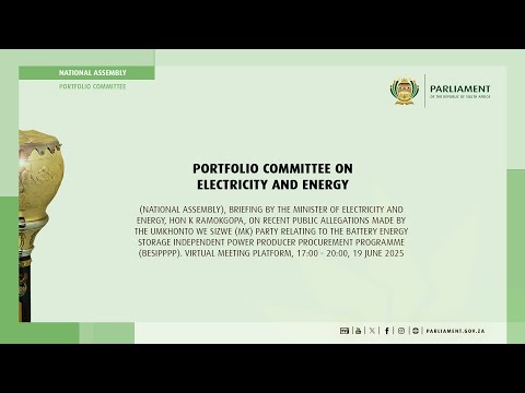 Portfolio Committee on Electricity and Energy, 19 June 2025