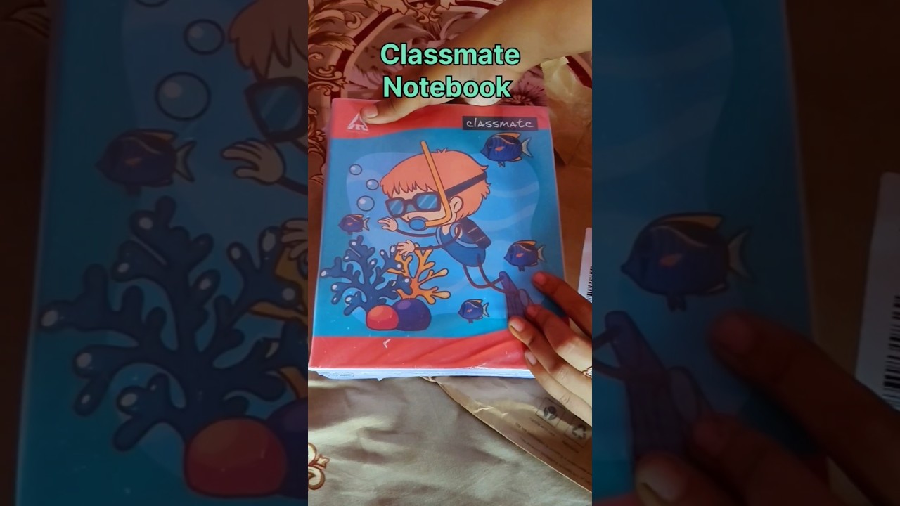 Classmate Notebook - Soft Cover, 124 Pages, 210x170mm, Single Line
