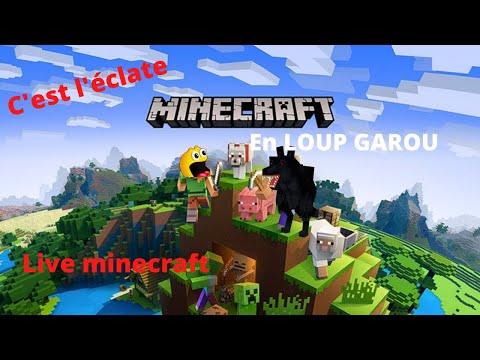 Steam Community :: Video :: LG minecraft
