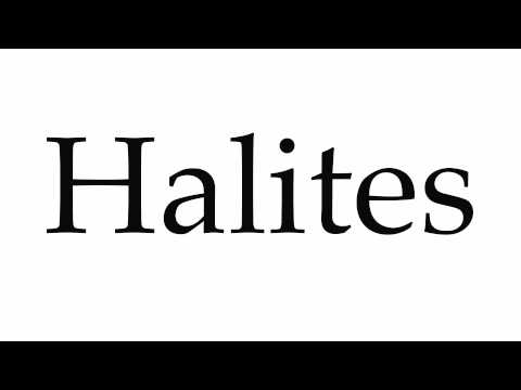 How to Pronounce Halites