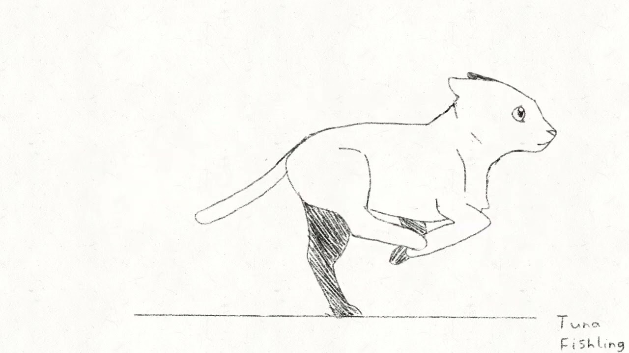 Cat run cycle!   Animation test