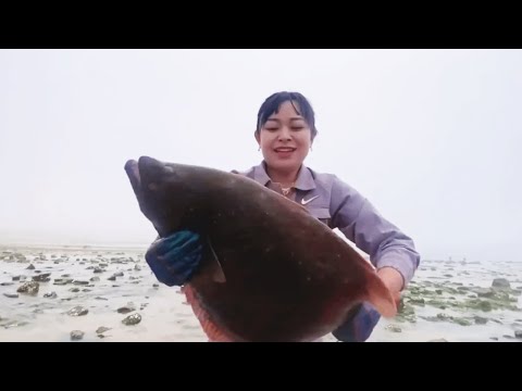 Xiao Zhang went to the sea and found a large number of turbot fish, making him rich!