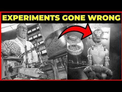 Most Disturbing Psychological Experiments Ever Conducted