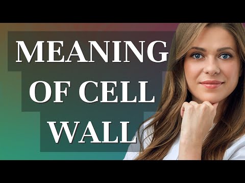Cell wall | meaning of Cell wall