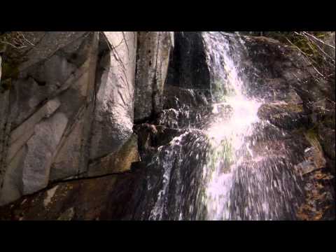 America's Wilderness (Spanish)