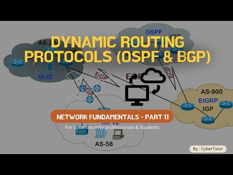 What’s the Difference Between Static and Dynamic Routing?