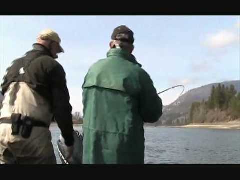 Mr. Been - Upper Columbia - The Evening Hatch