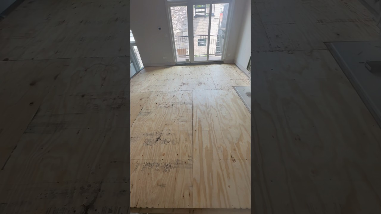 Install New Plywood Subfloor#shorts #construction