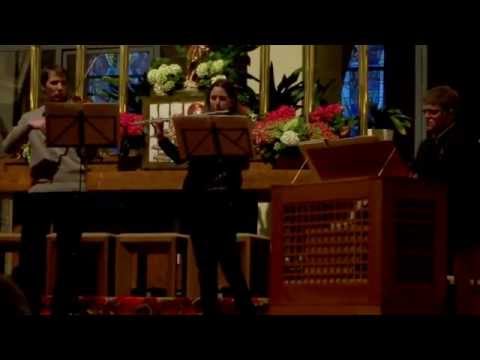 Orgel Benefiz Konzert Maxglan 17 April 2015