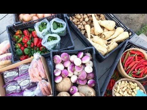 Product Mix & Pricing Strategies for Buying In to Your Farm Stand