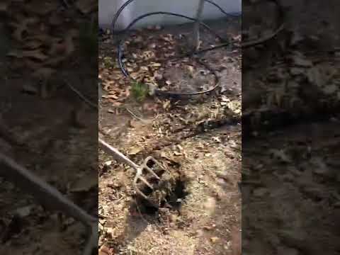 Turning and loosing soil with a fork