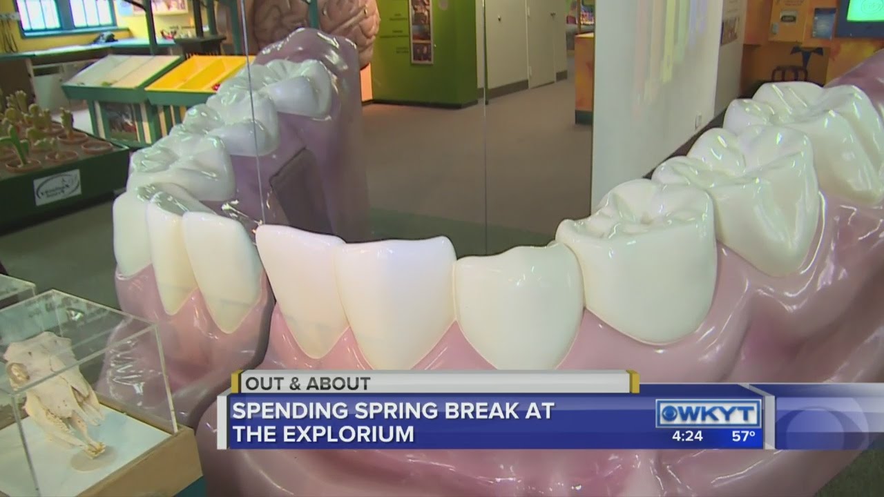 Spring break at the Explorium pt.1
