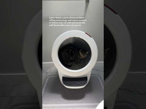 Set up my catβs automatic litter box with me | Litter Robot 4
