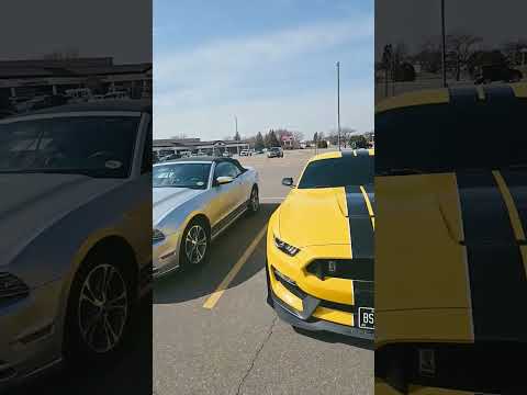 Happy National Mustang Day from Shortstop bar and grille.