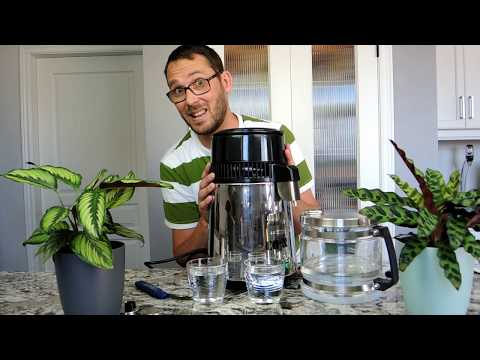 I Bought a Water Distiller for my Plants