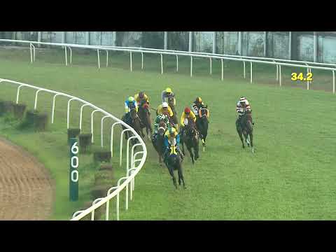 RACE NO : 139 - DEDICATE WINS - The Turf Authorities of India Trophy Div-2