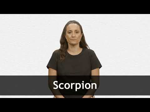 How to pronounce SCORPION in French