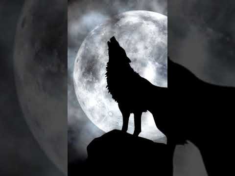 Wallpaper - Wolf edit #shorts