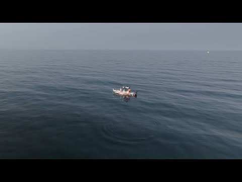 CTS S9:E4 Dog Daze Delight - TEASER