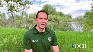 3 Best Orthopedics in Fort Collins, CO - ThreeBestRated