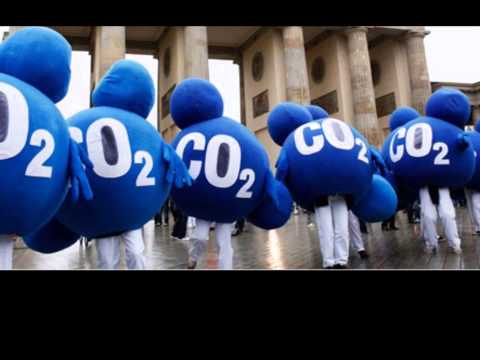 The BASIC Negotiating Position in the UNFCCC