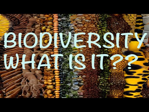 Biodiversity what is it? who cares?