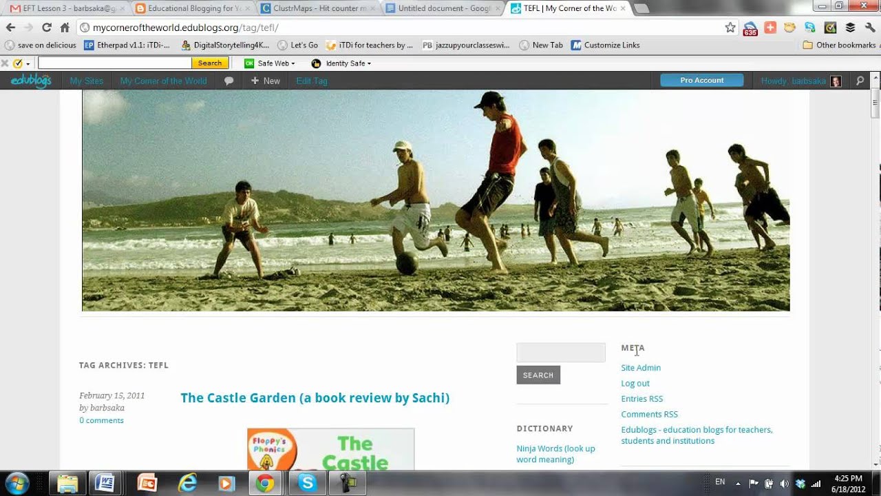 adding plugins and widgets in edublogs