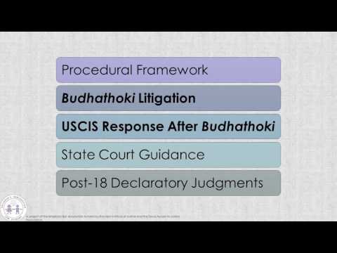Post-18 Issues in Texas State Courts and Before USCIS