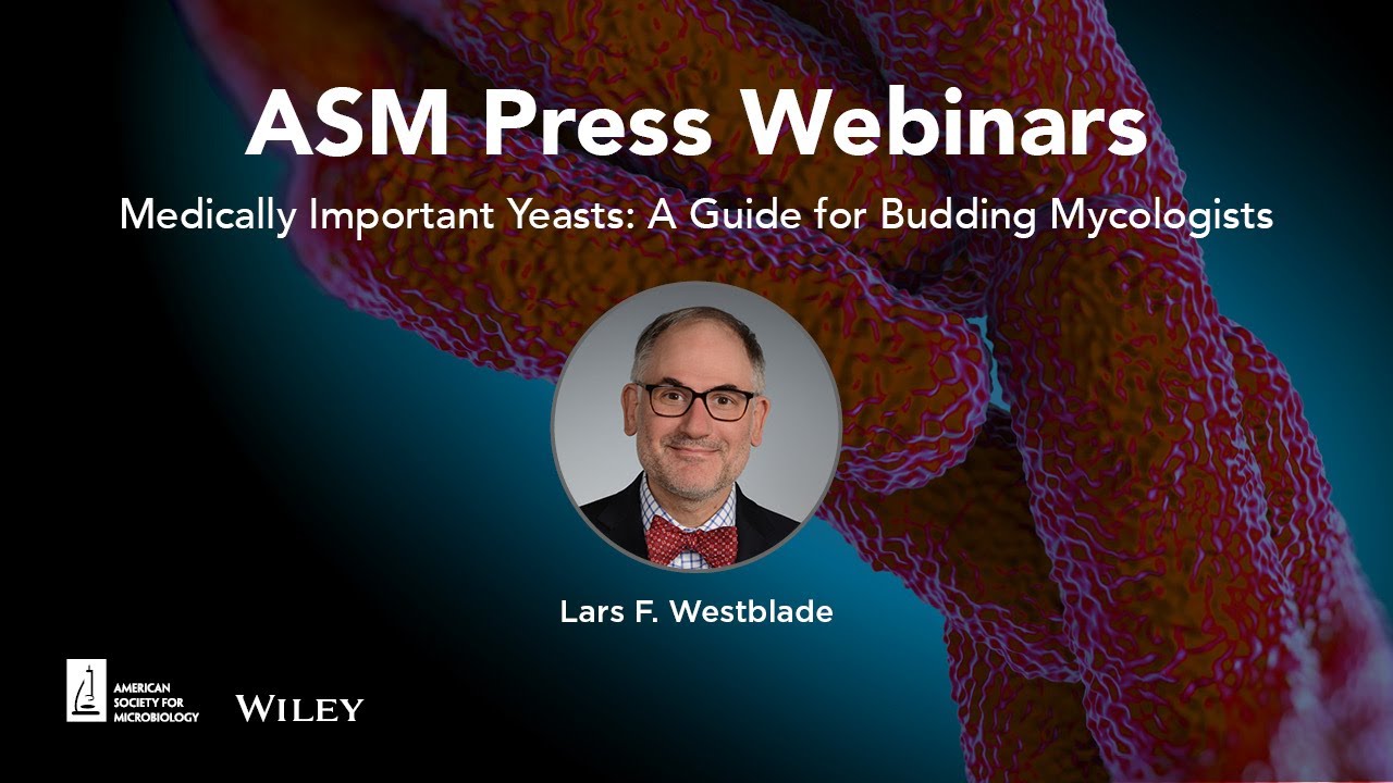 Medically Important Yeasts: A Guide for Budding Mycologists