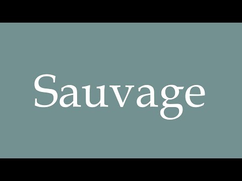 How to Pronounce ''Sauvage'' Correctly in French