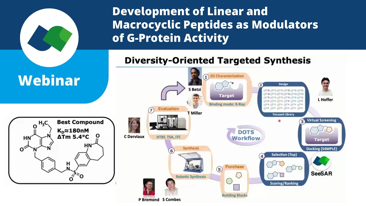 Integrated Strategy for Hit-to-Lead Optimization: The ‘DOTS’ approach