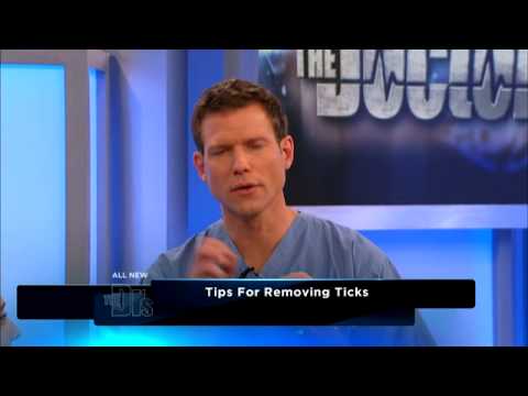 Tips To Remove And Prevent Dog Ticks