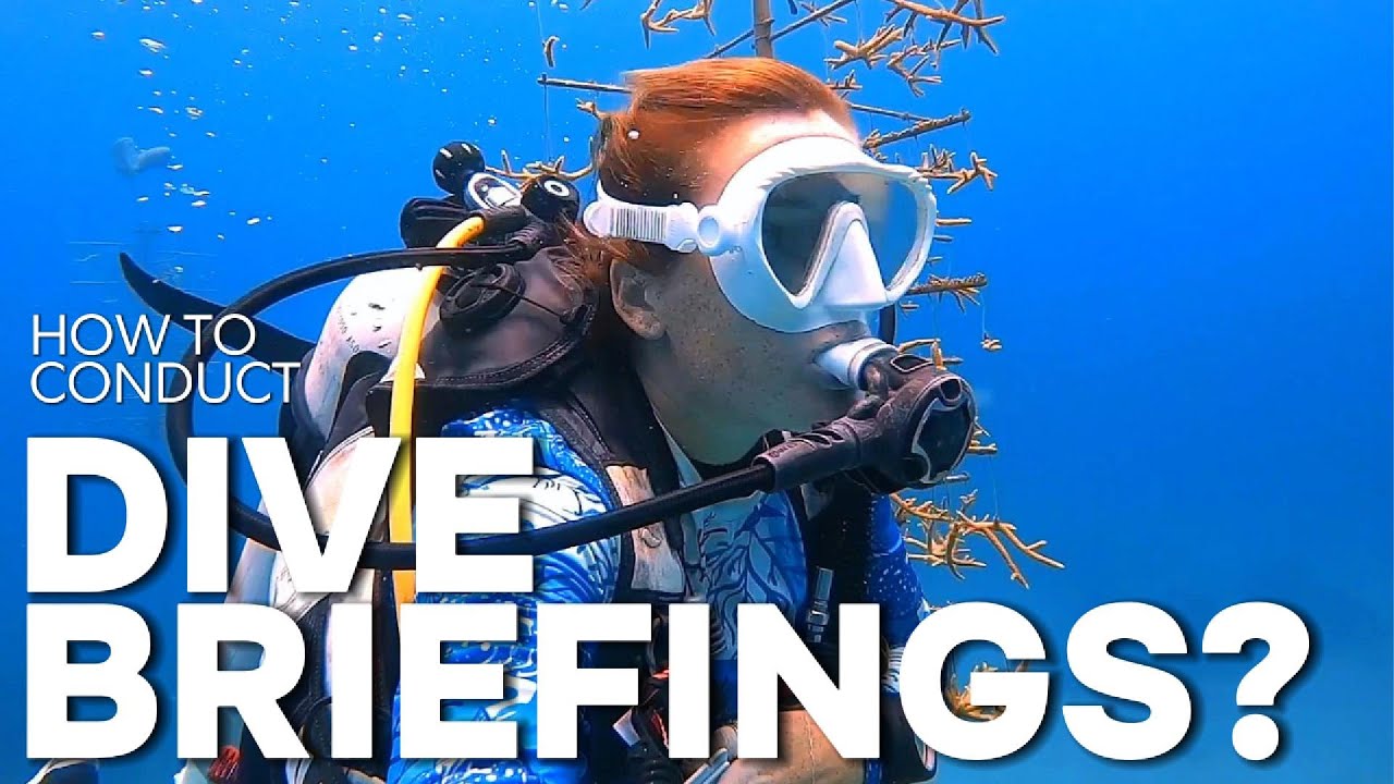 How to conduct Dive Briefings like a PRO! | DIVEWITHB