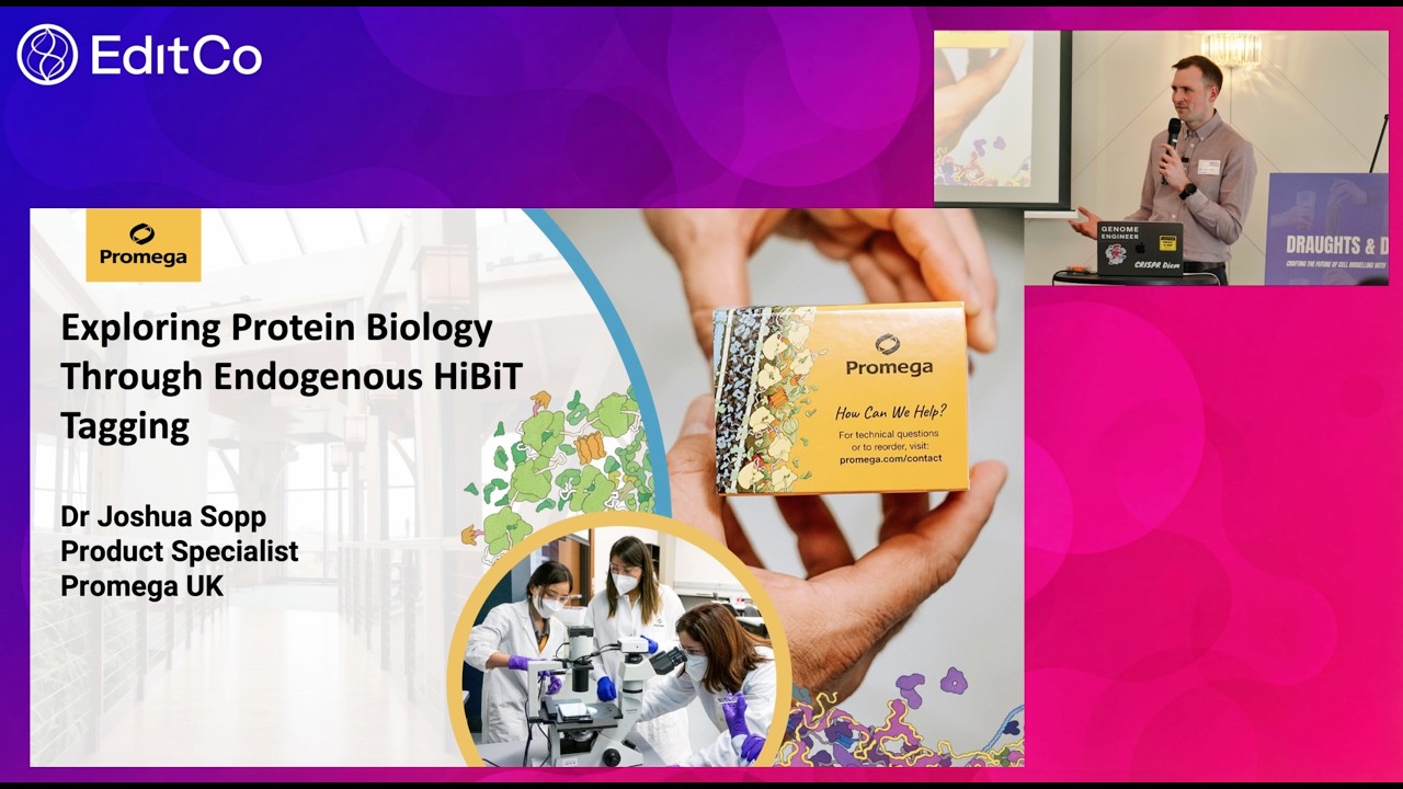 Exploring Protein Biology Through Endogenous HiBiT Tagging