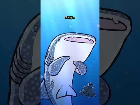 Whale Shark 🐋🦈 #animation #original #cartoon