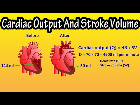 What Is Cardiac Output And Stroke Volume Of The Heart Explained