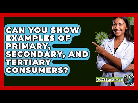 Can You Show Examples Of Primary, Secondary, And Tertiary Consumers? - Earth Science Answers