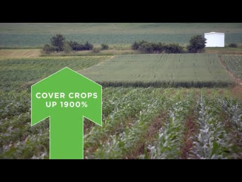 Iowa Minute: Measuring Soil and Water Conservation Techniques