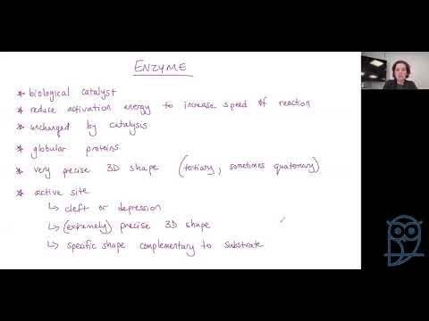 Live Lesson: AS Biology - Enzymes