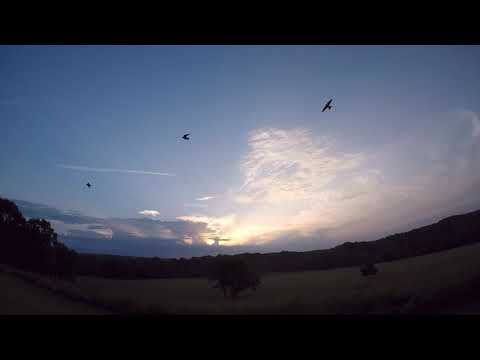 Sun Rise 6 12 21 70f