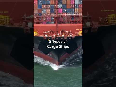 5 Types of Cargo Ships #cruise #seaman #seamanlife #maritime #marine #seafarer #navigator #engineer