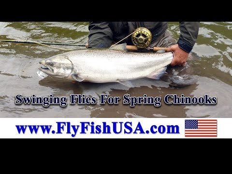 Oregon Spey Rod Springers