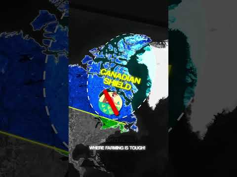 What is the 49th Parallel?