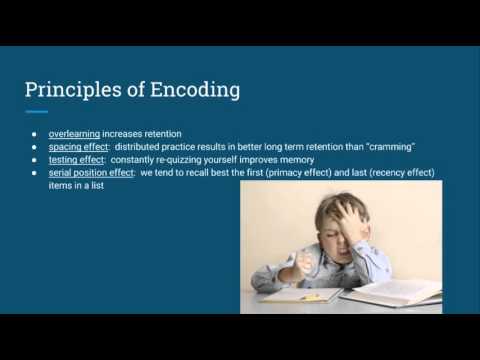 Memory: Encoding