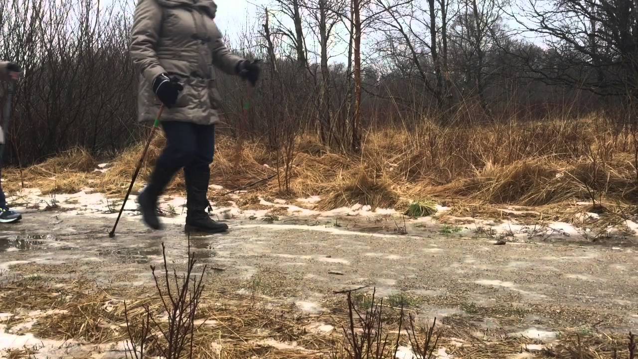 Stavgang