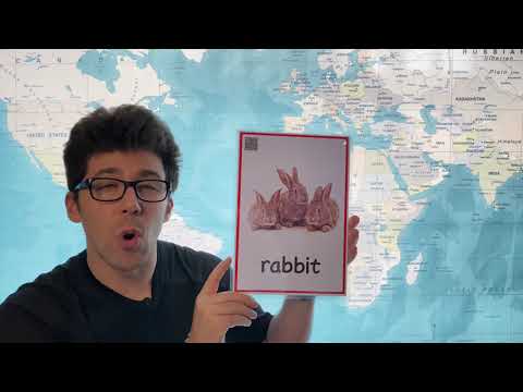 How to Pronounce Rabbit in English