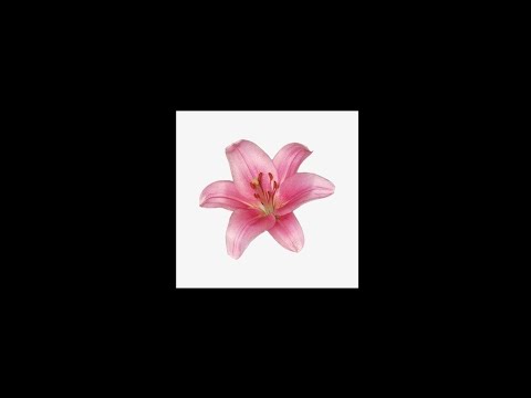 35+ edit audios for your imaginary scenarios +(timestamps)