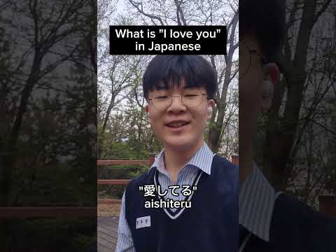 what is "I love you" in Japanese!🤓 #japan #korean #chinese