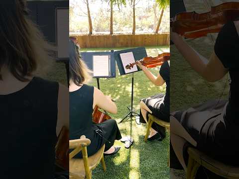 "Wildest Dreams" by Taylor Swift (Violin and Cello) #wedding